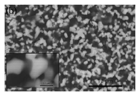 Microstructure Of The B4c Tib2 Composites Sps Ed Using Different Download Scientific Diagram