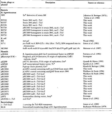 Table 1 From Regulation Of The Tca Cycle And The General Amino Acid