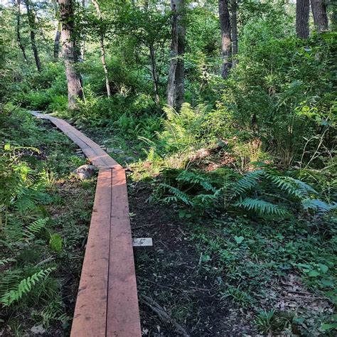 Row 1 Seat 1 Live Nfl Talk Nba Finals Are Set The Agony Still Continues With Nascar Betting