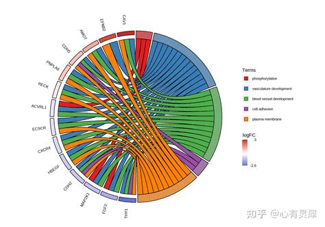 R语言与生物信息学 30 富集弦图