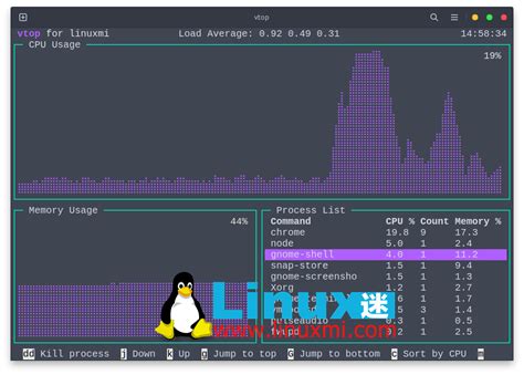 分享漂亮的 Linux 进程和内存活动监控工具 Linux迷