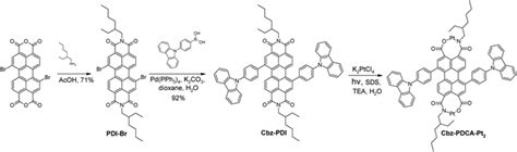 Photochemical Transformation Of A Perylene Diimide Derivative Beneficial For The In Situ