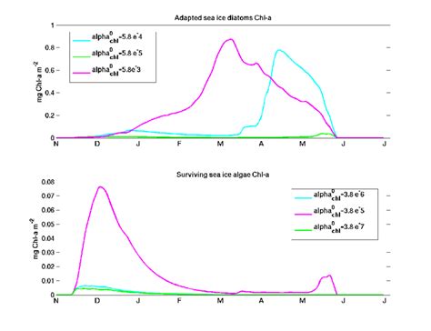 9 Sensitivity Of Bfm Si Diatoms Above And Survivors Below To α 0 Download Scientific