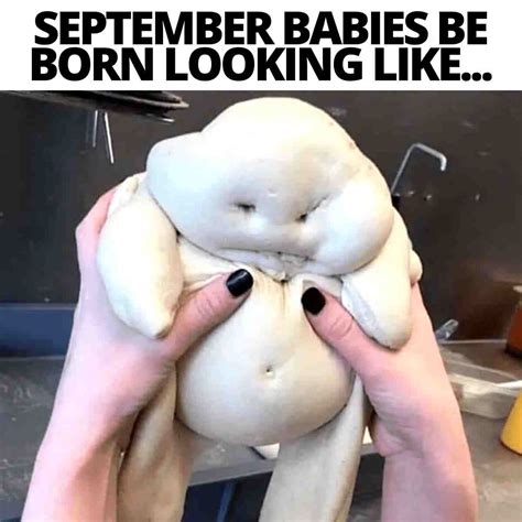 50 Happy Birthday Month Memes Fun Images To Celebrate