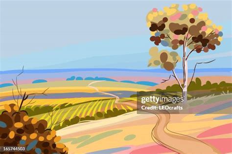 Grass Path Texture High Res Illustrations Getty Images