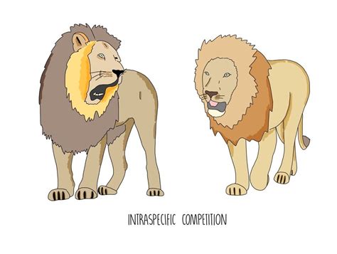 Competition Examples Biology