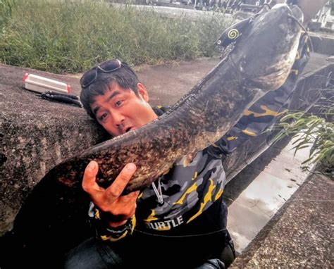 BC4 6 10MXHプロト開発記これまでに釣ってきた様々な魚種への適応性能 Fishmanフィッシュマン