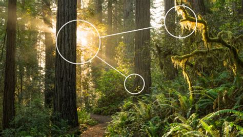 New Esma Suitability Guidelines But Its Advisory Group Is Not Impressed