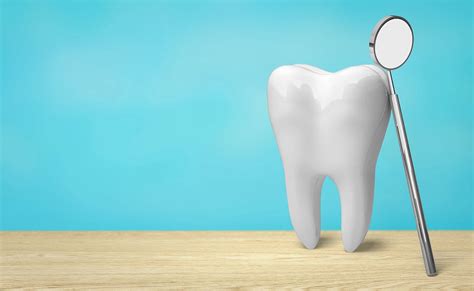 Teeth The Bodys Sophisticated Biological Tools