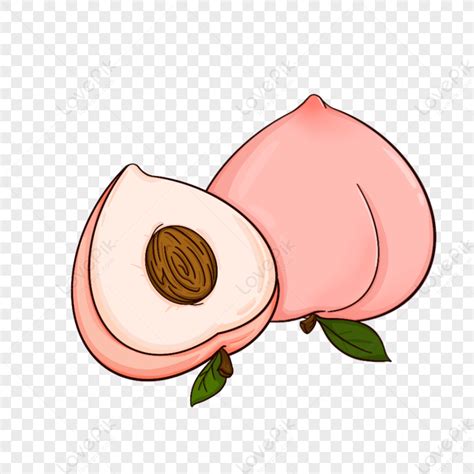 복숭아 Png 일러스트 무료 다운로드 Lovepik