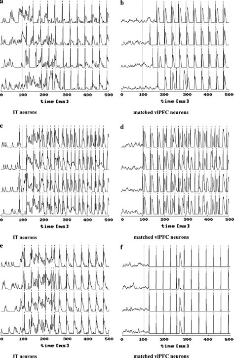Associative Control On Vlpfc Neuronal Activities By Dlpfc Neurons The