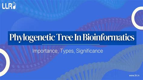 Phylogenetic Tree In Bioinformatics Importance Types Significance