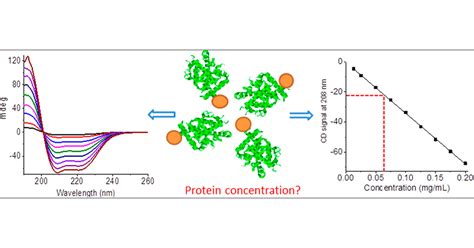 Protein Concentration Formula Sale Discount
