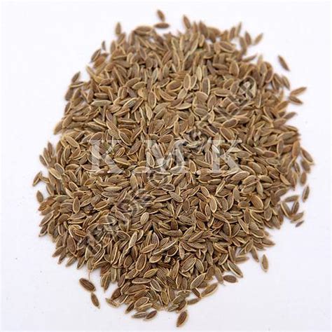 Brown Raw Natural Balant Shepa Seeds Grade Standard Medicine Grade