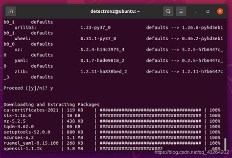 从虚拟机到深度学习三：ubuntu2004安装pytorch以及detectron2环境detectron虚拟环境下如何安装pytorch