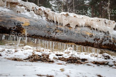 바다의 다양한 모양과 모양의 얼어붙은 얼음 고드름과 함께 찍은 사진 0명에 대한 스톡 사진 및 기타 이미지 0명 겨울