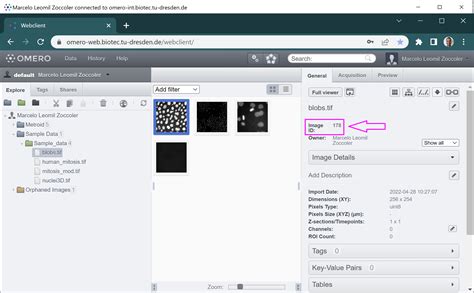 Running Deep Learning Scripts In The Bia Pol Omero Server — Bia Pol Blog