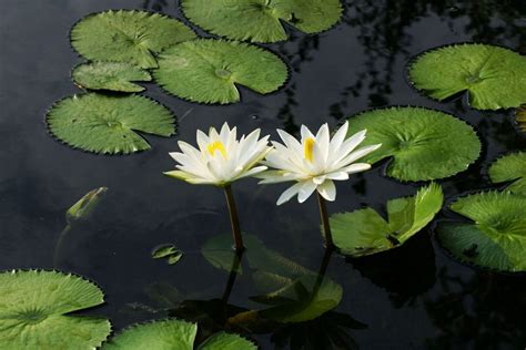湿地博物馆