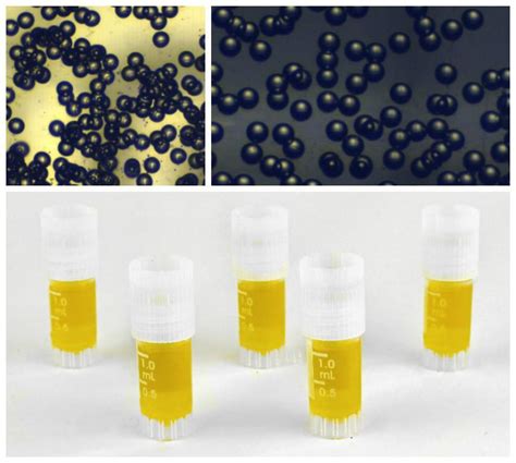 Why Choose Our Hydrogels Particle Works Uses State Of The Art