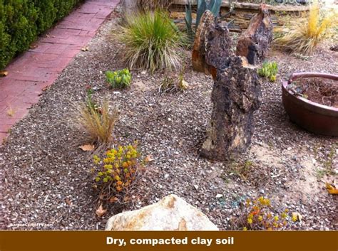 How To Improve Clay Soil Garden Center TV