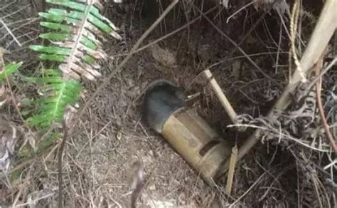 自制简易捉鼠神器 自己制作捉鼠器 十种简易捕鼠器 大山谷图库