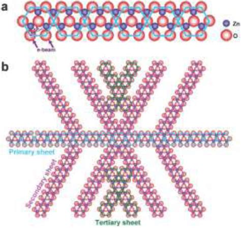 Schematic Illustration Of The Formation Of Zno Nanosheet With 101 − 0 Download Scientific