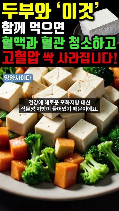 노년기 건강을 위해 두부는 꼭 이렇게 드세요 두부와 함께 먹으면 보약되는 음식 값비싼 영양제 대신 이렇게 드세요