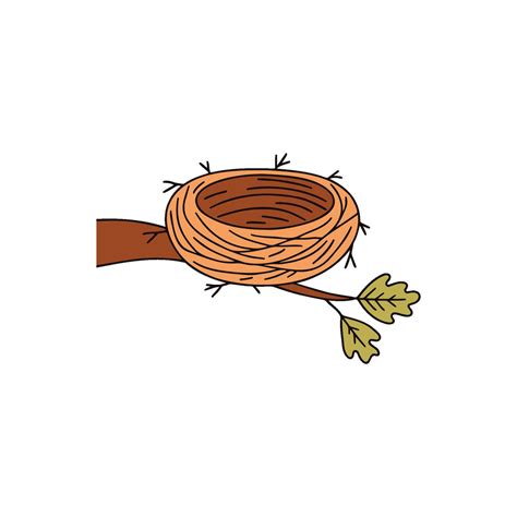 Illustration Of Twig Nest In An Oaks Crook 50383384 Vector Art At Vecteezy
