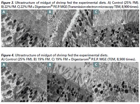 Phytogenics A Nutrient Sparing Tool For Efficient Aquafeeds The Fish