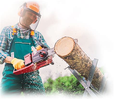 Home Treecuttingcontractor Com