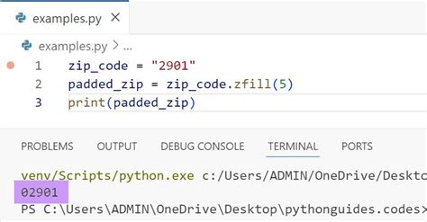How To Pad A String With Zeros In Python