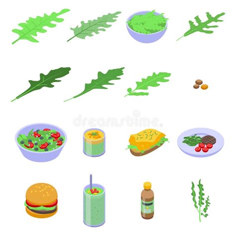 Arugula图标设置等轴样式 向量例证 插画 包括有 食物 叶子 厨师 等量 生物 问题的 192670670