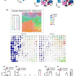 A Overview Of The CD4 Th Cell Analysis Steps B FlowSOM Clustering Download Scientific