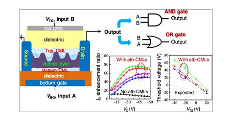 Enhanced Functionality Of Dual Gate Organic Transistors Based On Semiconducting Insulating