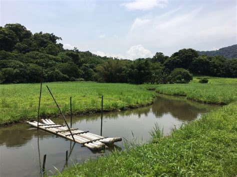 新庄仔埤秘境 走讀筆記 健行筆記