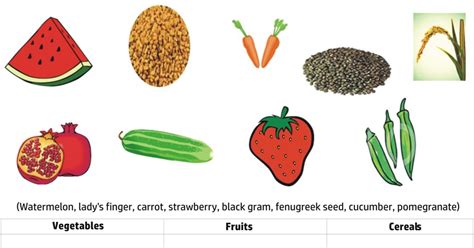 Worksheets Classify The Given Items