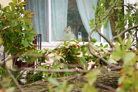 Purported Dubai Tornado Digitally Generated Fact Check