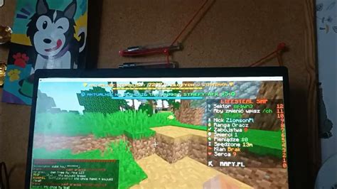 Minecraft Sagi Youtube