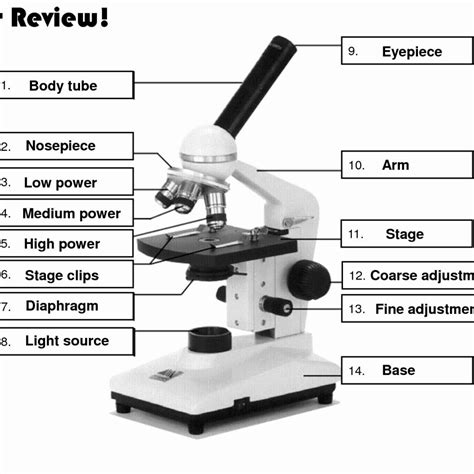 Binocular Microscope Sketch At Explore Collection Of Binocular Microscope