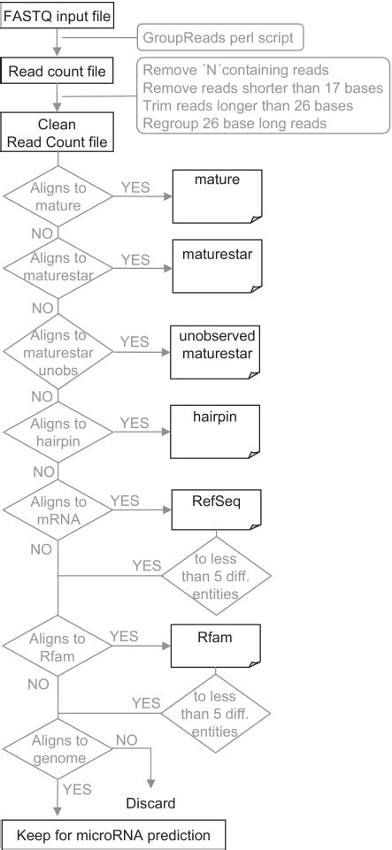 General Workflow Of MiRanalyzer The Fastq File Is Transformed Into A Download Scientific