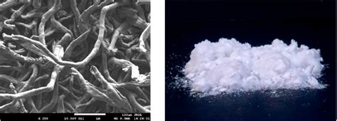 Nitrocellulose Sample Download Scientific Diagram