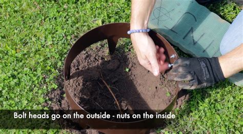 How To Fit Tree Rings Planting Trees In Lawns Garden Ninja Lee Burkhill Garden Design
