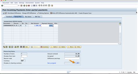 Payment Differences Processing In Sap