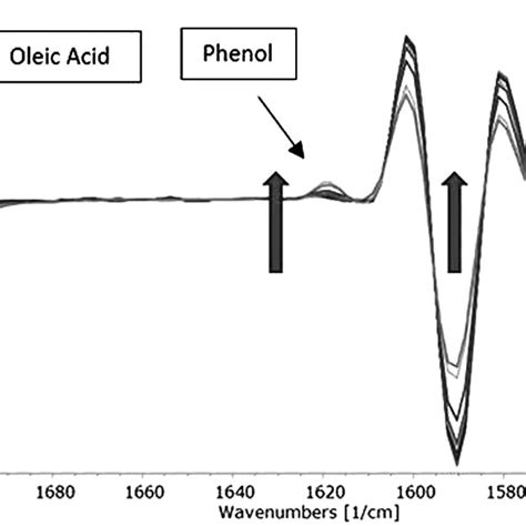 Savitzky Golay Smoothed Split Paired Sample Second Derivative Download Scientific Diagram