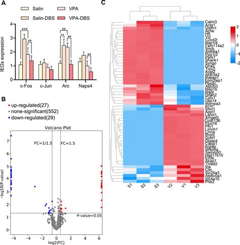 A Expression Levels Of Immediate Early Genes In The Insular Cortex