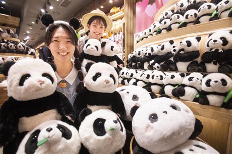 에버랜드 판다 푸바오 인기…이모티콘·굿즈 역주행 스타뉴스