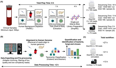 Bioengineering Free Full Text Towards A Rapid Turnaround Low Depth