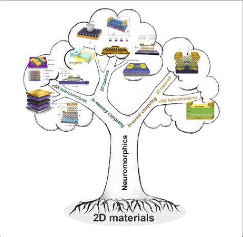 2D And VdW Heterostructure Materials For Neuromorphics The In Sensor