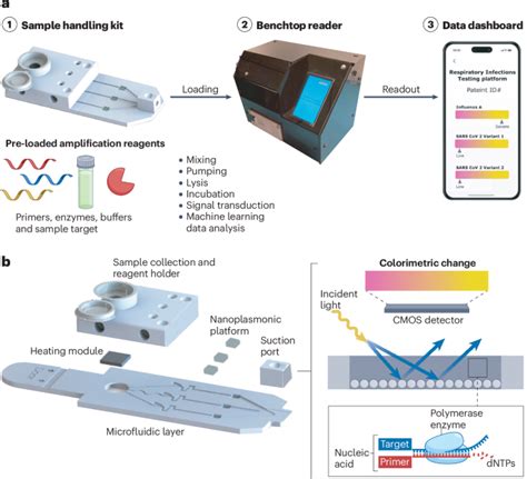 A Nucleic Acid Detection Device For Rapid Multiplexed Molecular Disease Diagnostics Nature