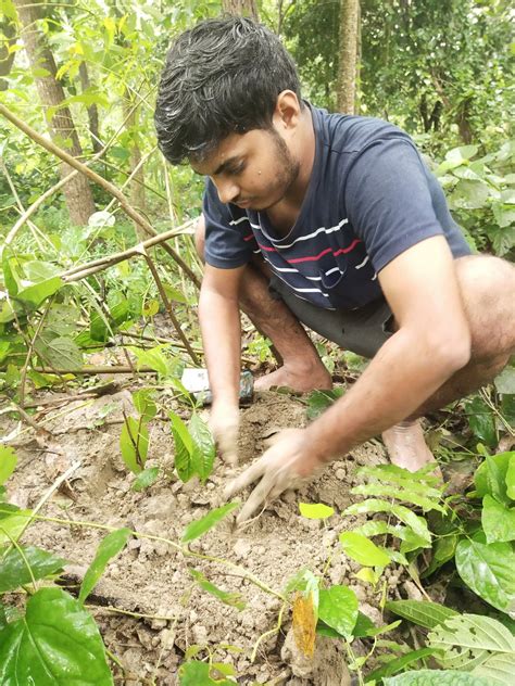 braj bhushan singh on linkedin plantation is my hobby 🥰🥰